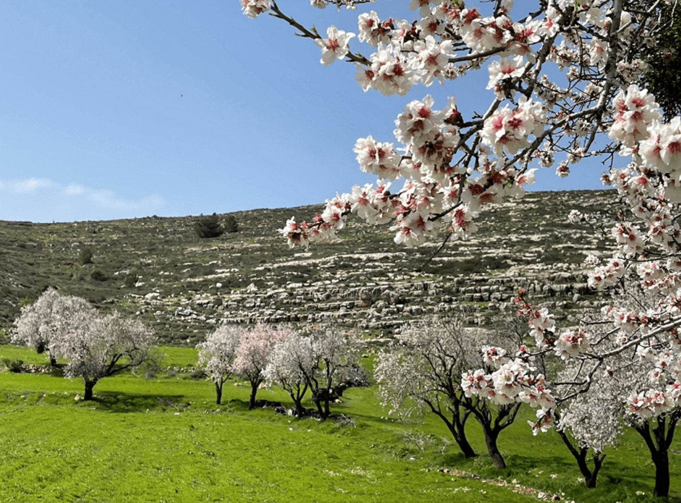 The True Meaning of Easter