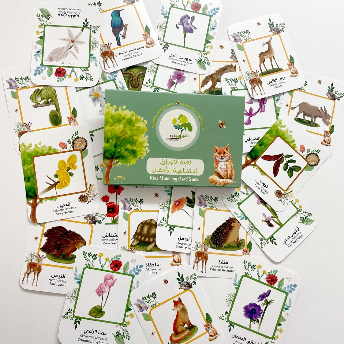 Memory Games: Matching Cards for kids | Handmade Palestine
